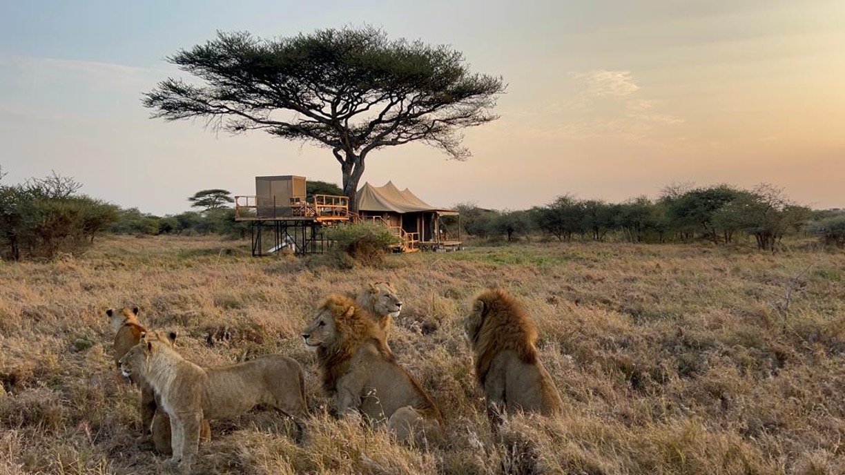 Entara Camps & Lodges | 4-Night Tanzanian Guided Safari - We Are Europe